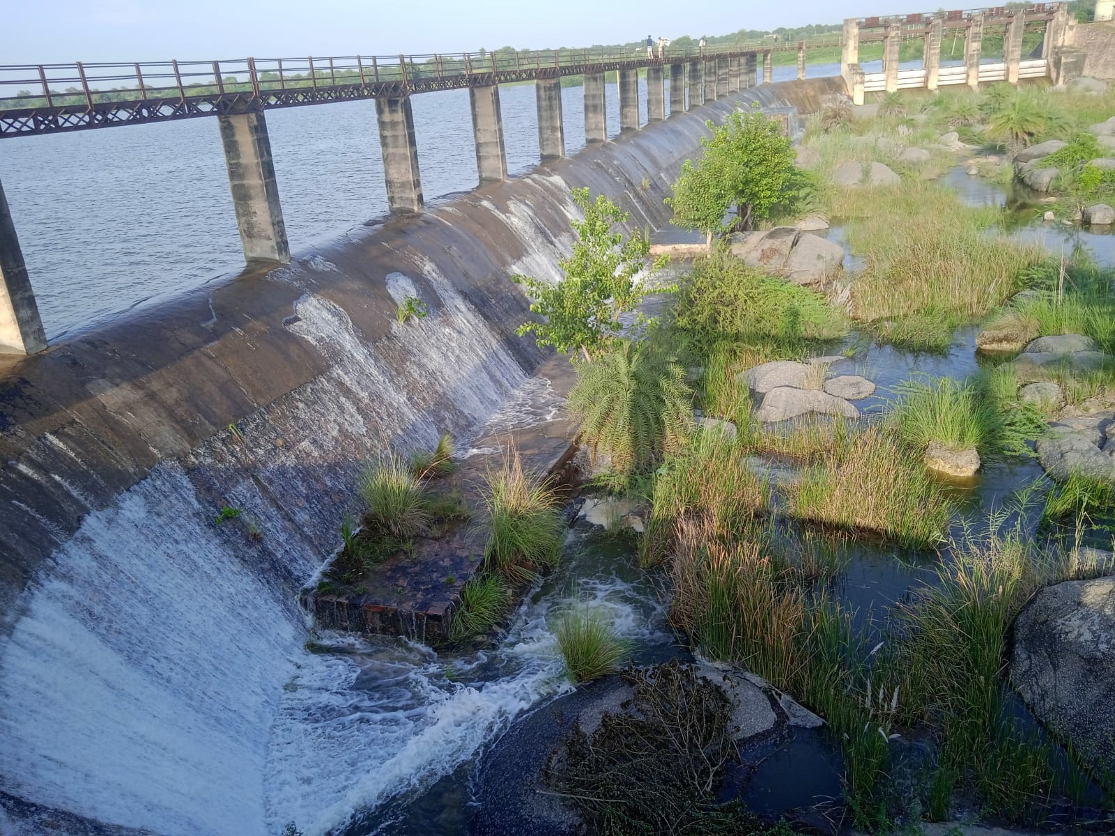 Chadar in Masi Dam, 708 mm of rain in the area so far | किसानों में ...