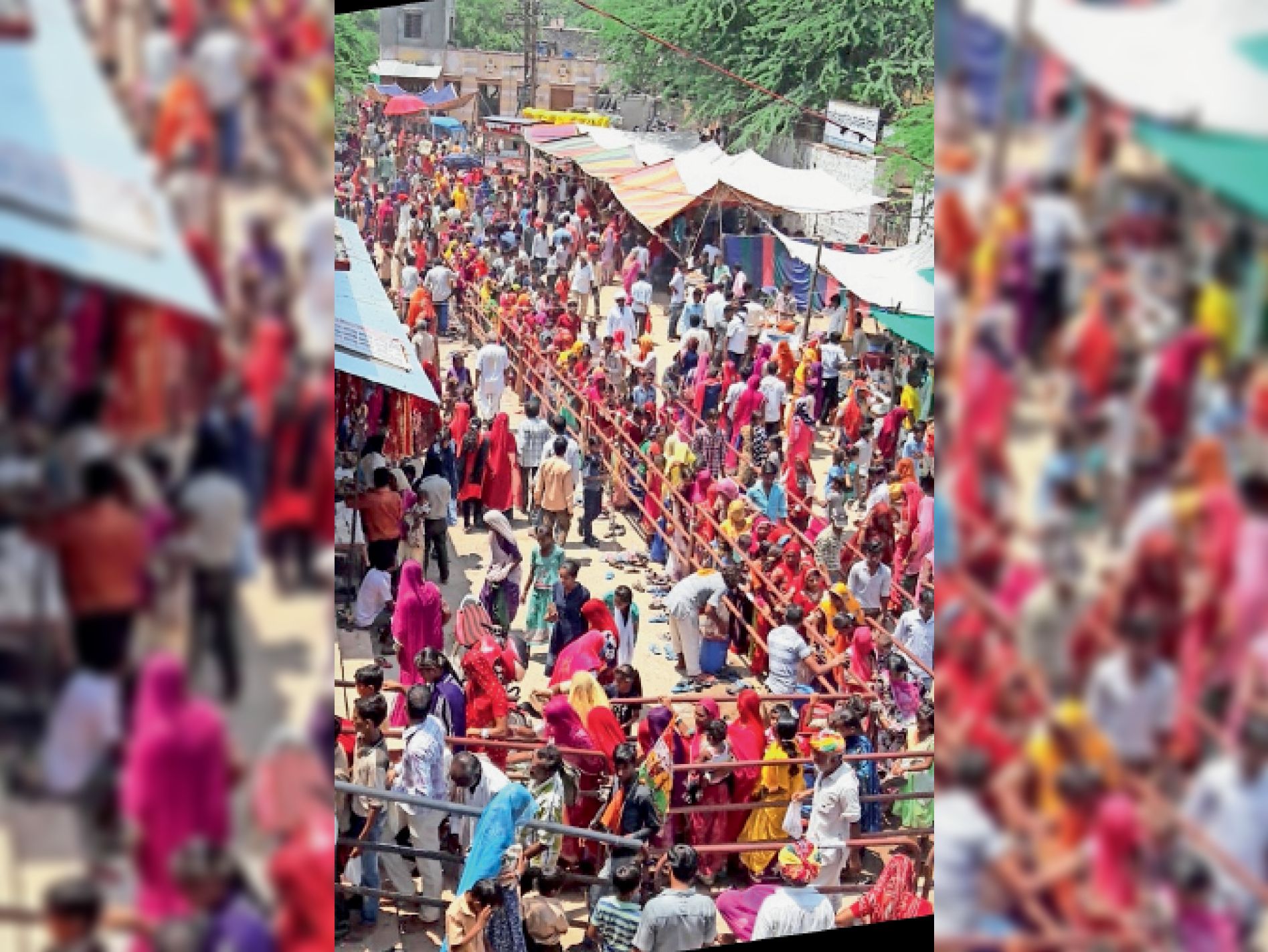 Thousands of devotees on Bhadwa Beej wished happiness by cheating in ...