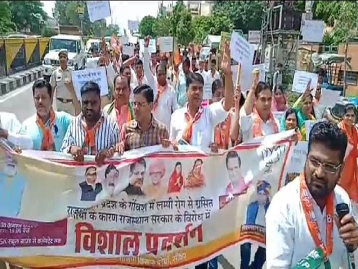 Activists said - the government is anti-cow, hundreds of cows die every ...