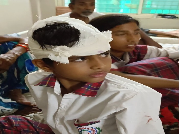 12 children seriously injured, children of popular public school ...