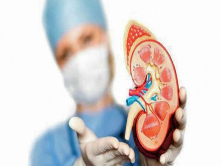 7 kidney transplant every month, organ smuggling racket active, hence ...