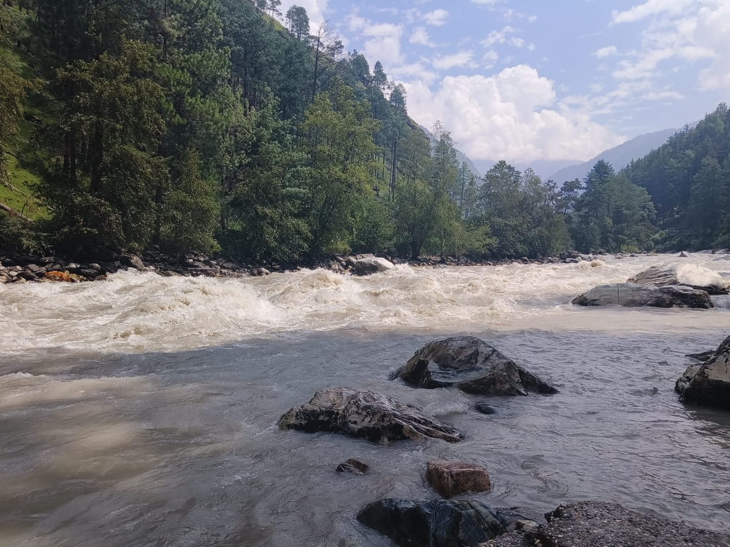 Punjab man jumped in Parvati river