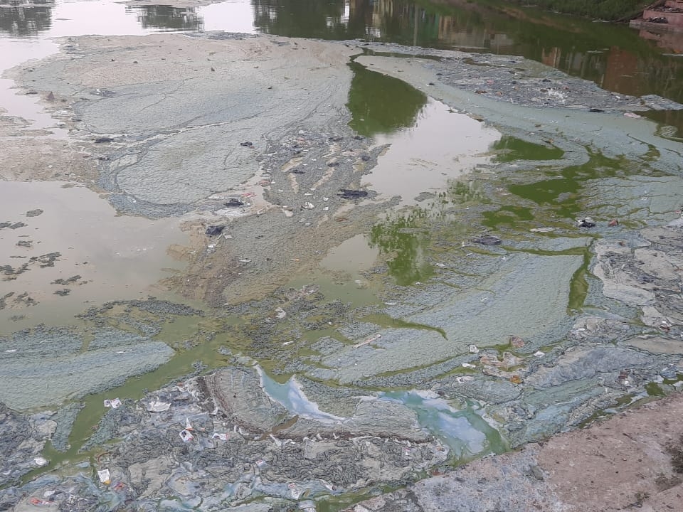The condition of the historical pond of Nalanda is hellish