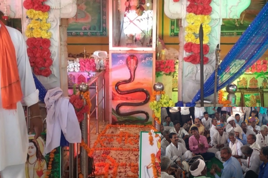 चाकसू में मंदिरों में लगी श्रद्धालुओं की भीड़, तेजा गायन का हुआ आयोजन ...