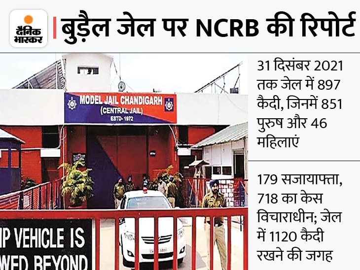 NCRB latest report news Chandigarh | चंडीगढ़ में ज्यादातर अपराधी 18-30 ...