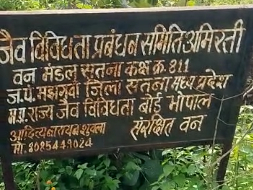 Satna collector sent a proposal to the state government, CM Shivraj had ...