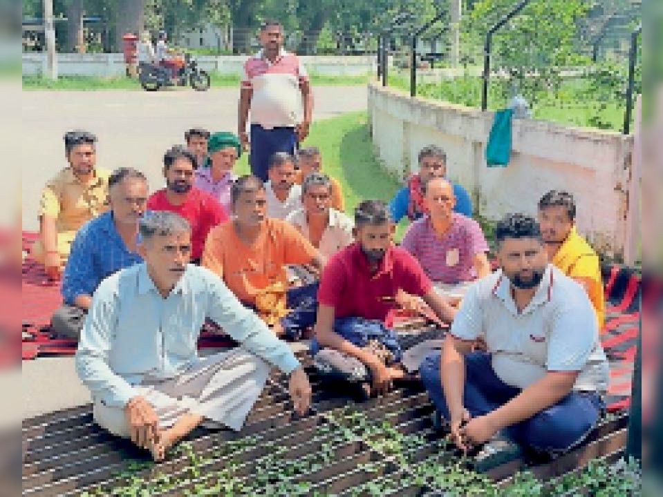 BBMB Deliveries Union continued its strike for the second day, said ...