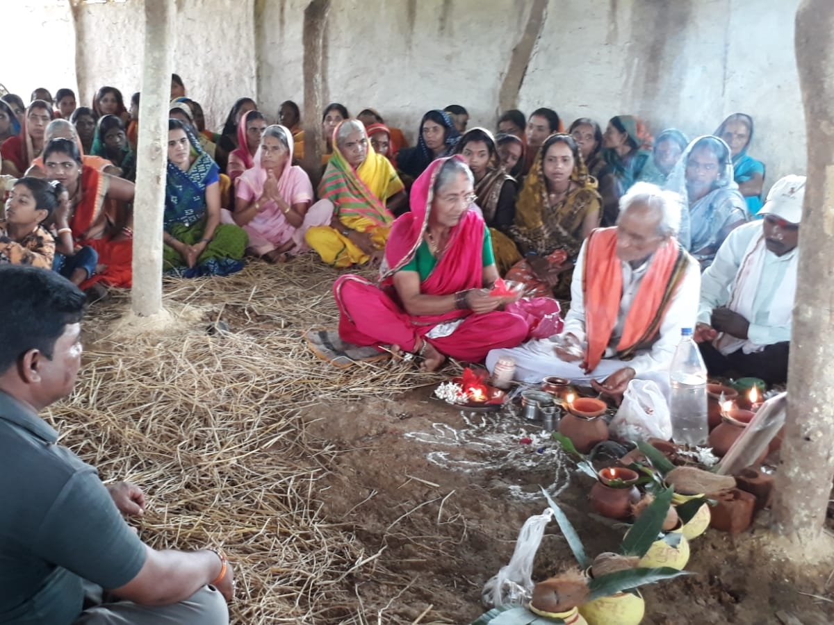 After worshiping the cow in Paraswada, entered the cowshed | बालाघाट ...