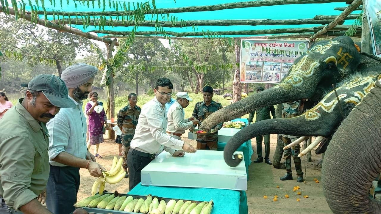 Gajraj celebrating the holiday, feasting on sugarcane, jaggery, banana ...