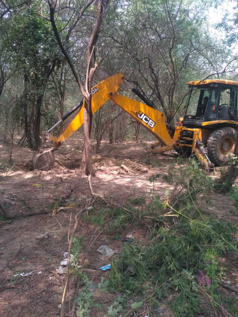 More than 100 dead pigs found in military form in Cantt area, many ...