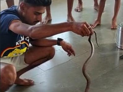 The priest of the Amarnath temple saw a 2 feet long snake, rescued by ...
