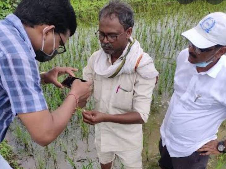The department is making efforts to save the crops that are getting ...