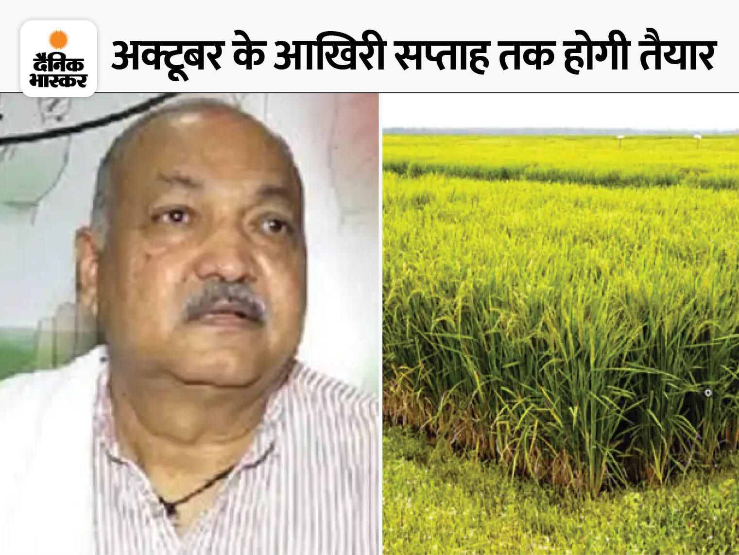 Paddy procurement can start from November 1st: Agriculture Minister ...