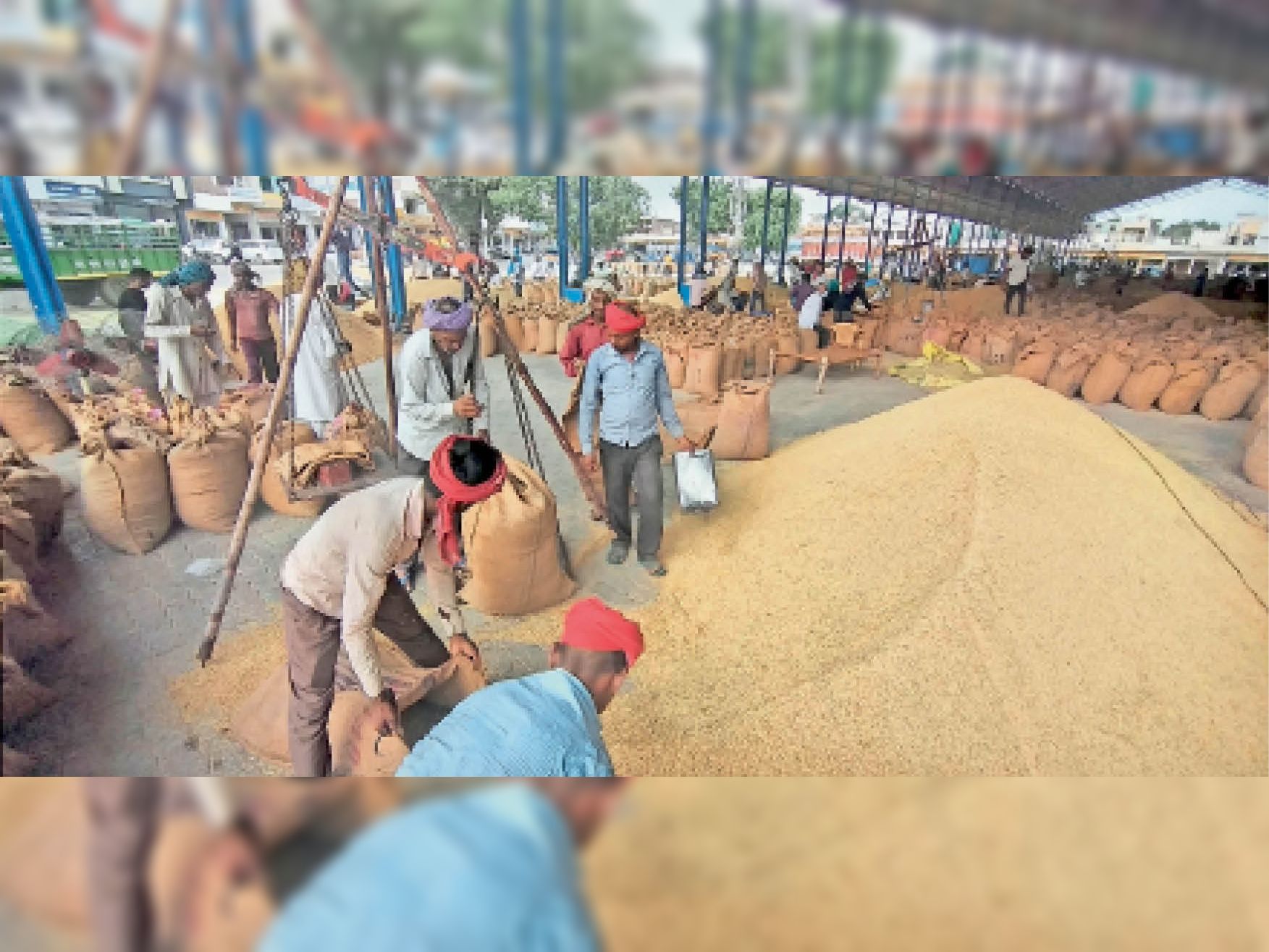 Farmers should carefully bring paddy in the mandis on indefinite strike ...