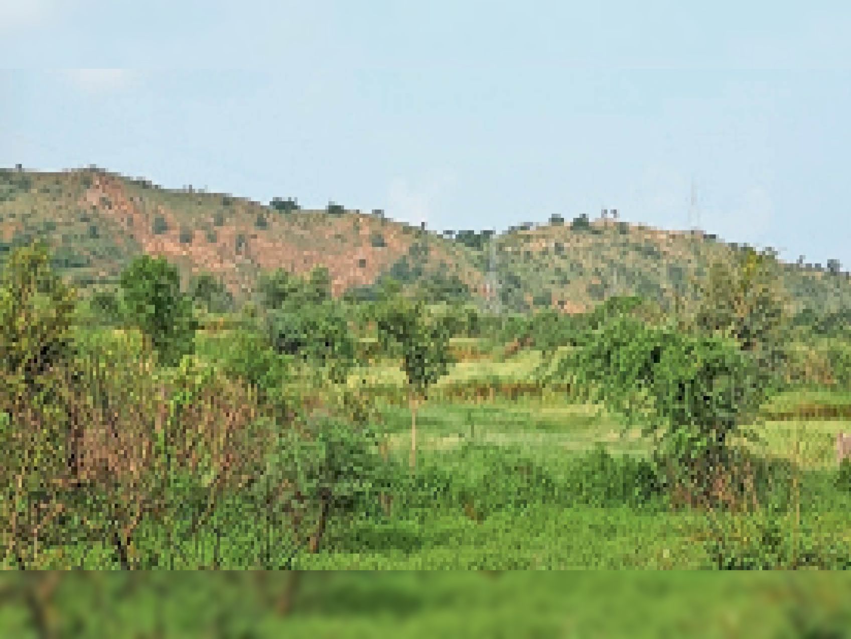 Sagwara has less trees and 639 mm of rain, while 30 km away, Galiakot ...