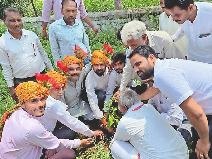 Will save the environment, bring greenery, after planting trees, make ...