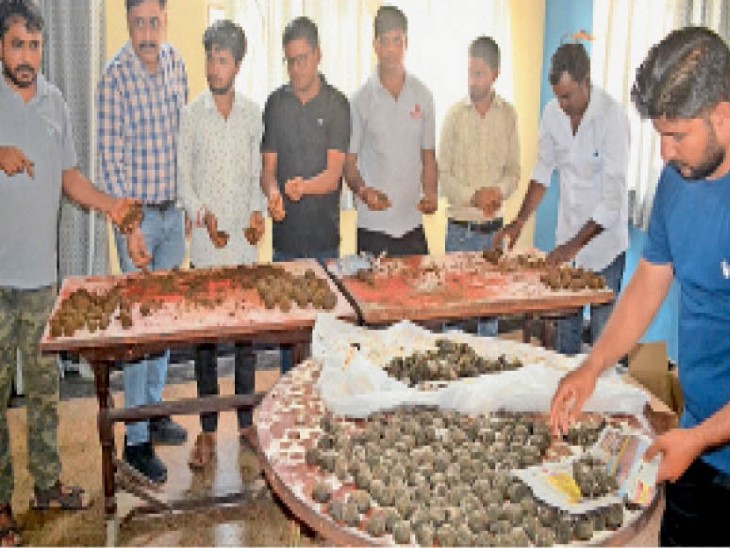 The youth came forward to save the cows, making Ayurvedic laddus, also ...