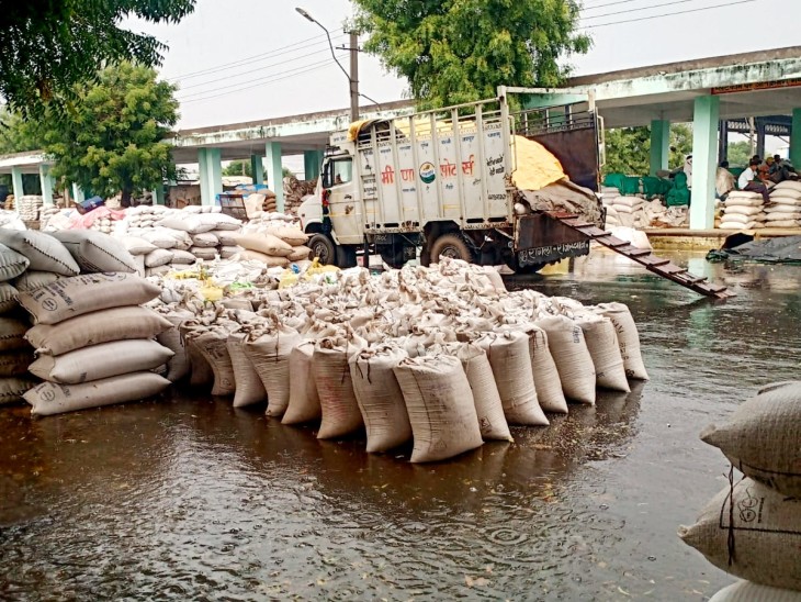 Bajra bags lying on the road under the open sky in Mandi got drenched ...