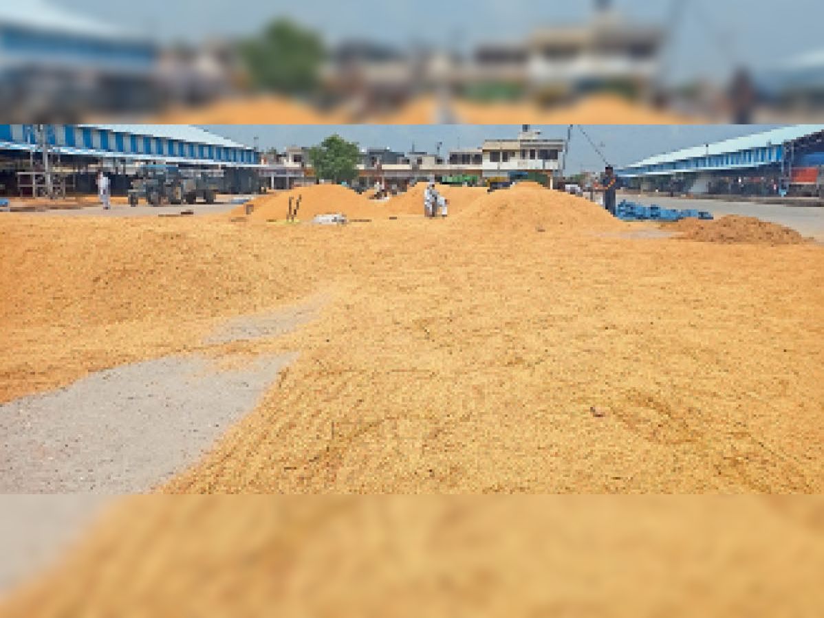 Farmers worried due to deteriorating weather, sitting in the market for ...