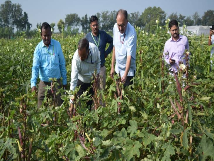 In Varanasi, additional secretary of the Department of Farmers Welfare ...