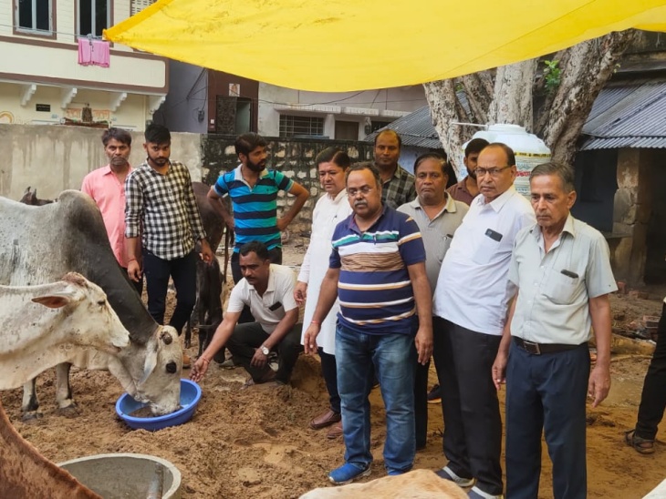 Rajasthan Lumpy Virus Outbreaks; Isolation Center Built In Gangapur ...