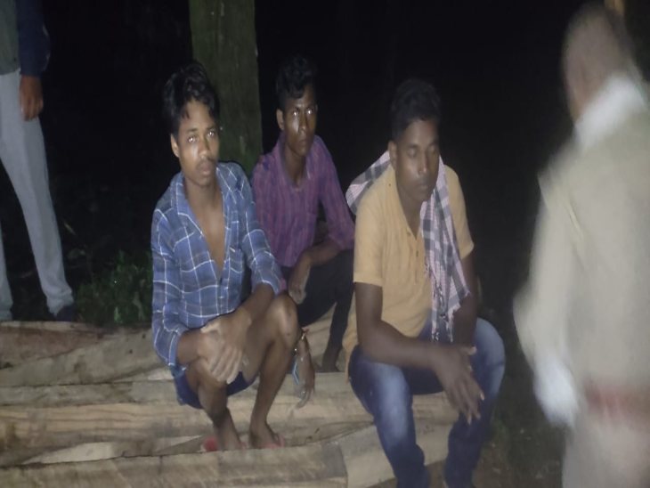 Trees were cut in the buffer zone of ATR, smugglers were transporting ...