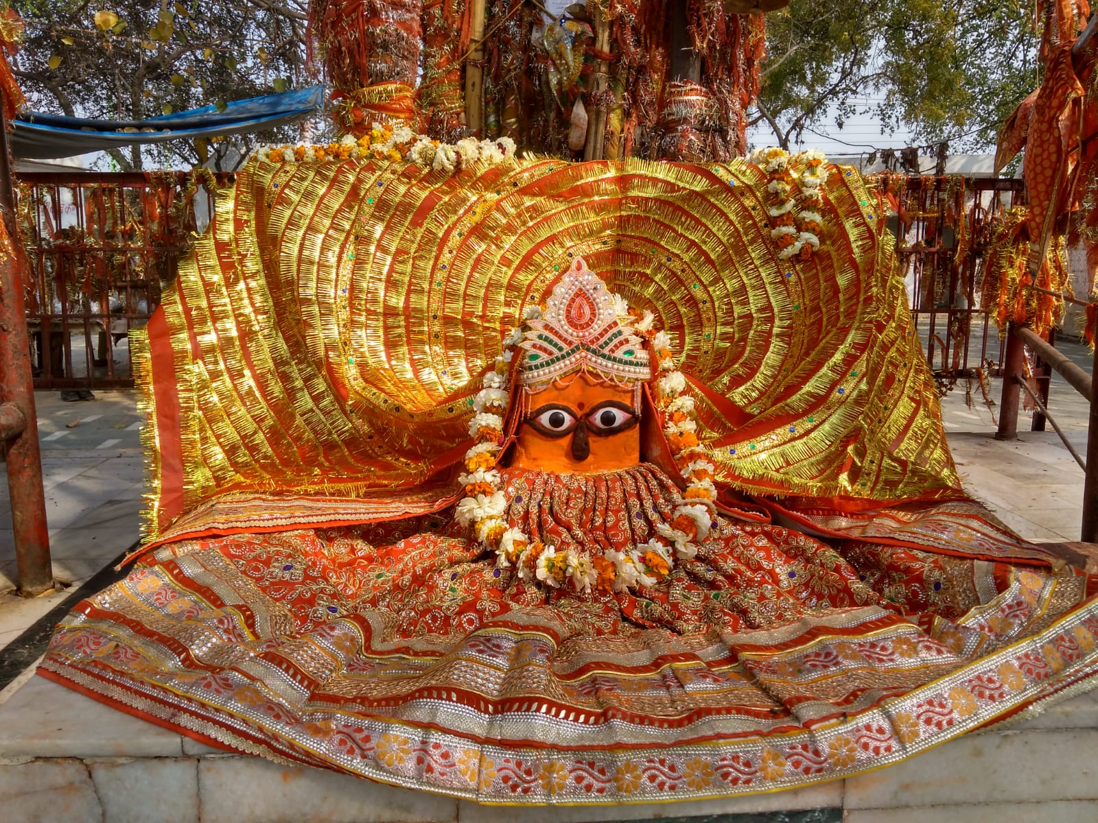 Mother Katyani will sit in a bungalow made of exotic flowers, the ...