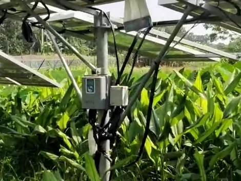 Pipeline laying work on war footing, artificial rain will be done ...