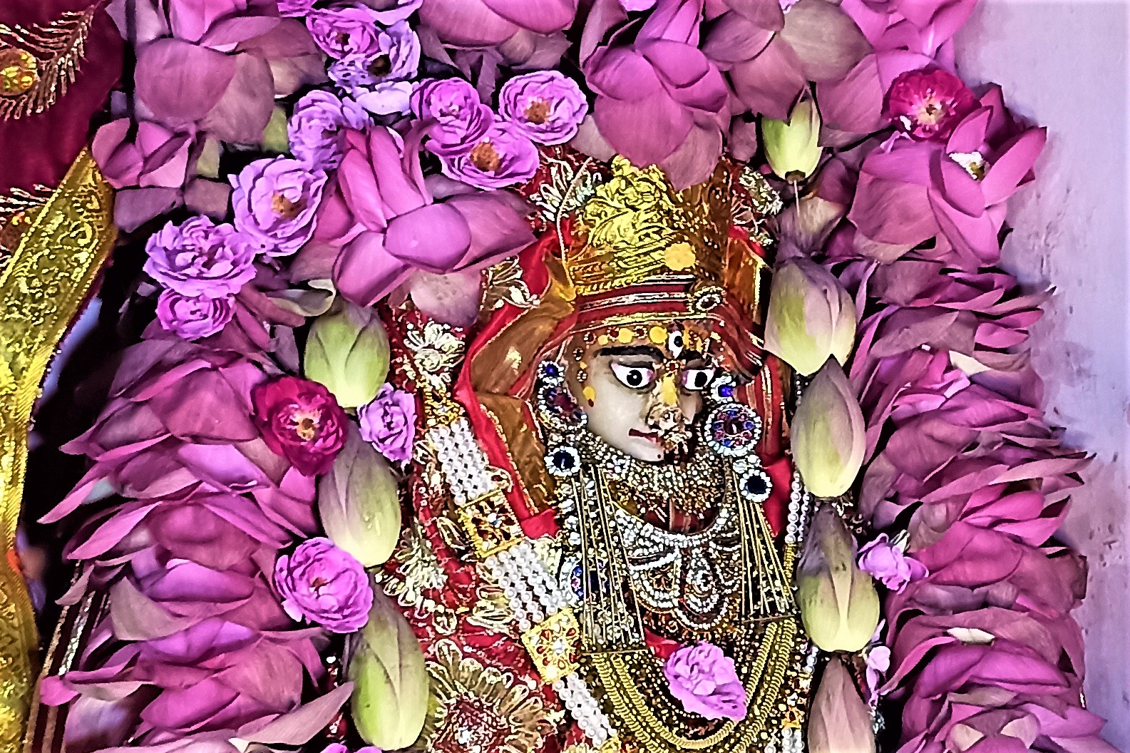 शक्ति पीठ है माताजी का यह मंदिर, बाई पहाड़ी पर आस्था का ज्वार | This ...