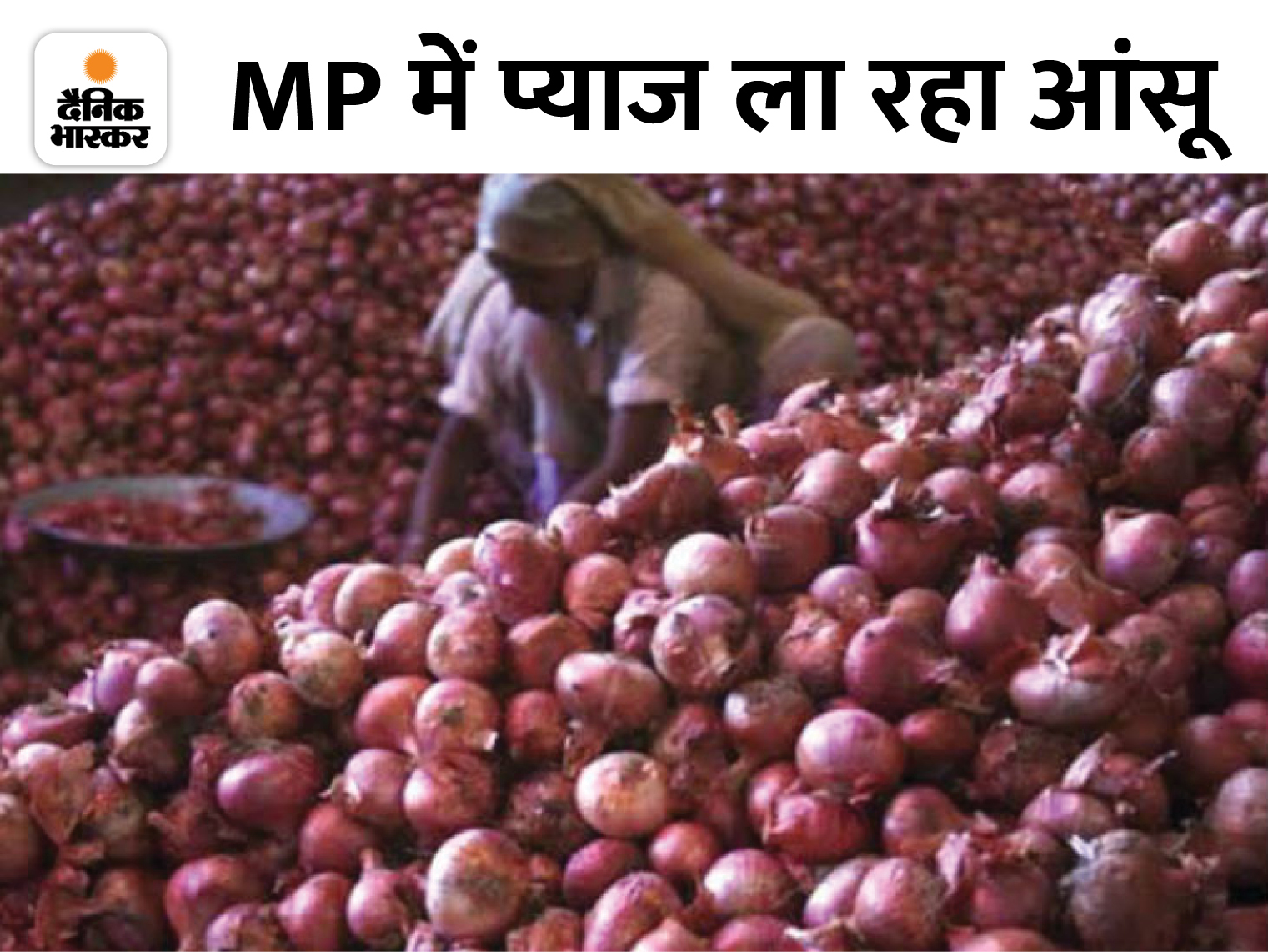 Pyaz Mandi Rate Today; Onion Market Price In Madhya Pradesh | MP में ...