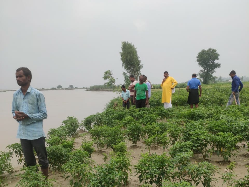 Two hundred bigha crop of farmers wasted, SDM took stock | फतेहपुर में ...