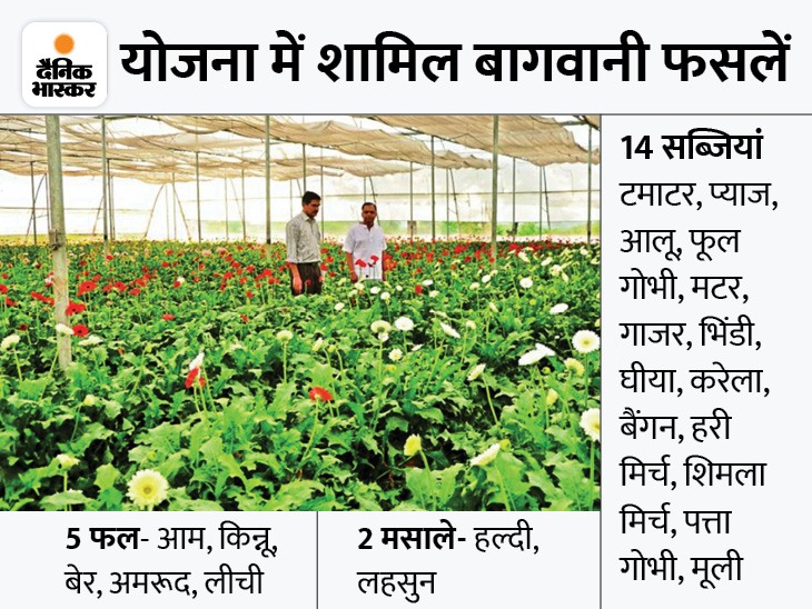 Manohar Lal Khattar CM Haryana | Chief Minister Horticulture Insurance ...