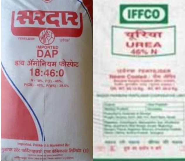 DAP and urea fertilizer shortage in Tonk district | टोंक जिले में DAP ...