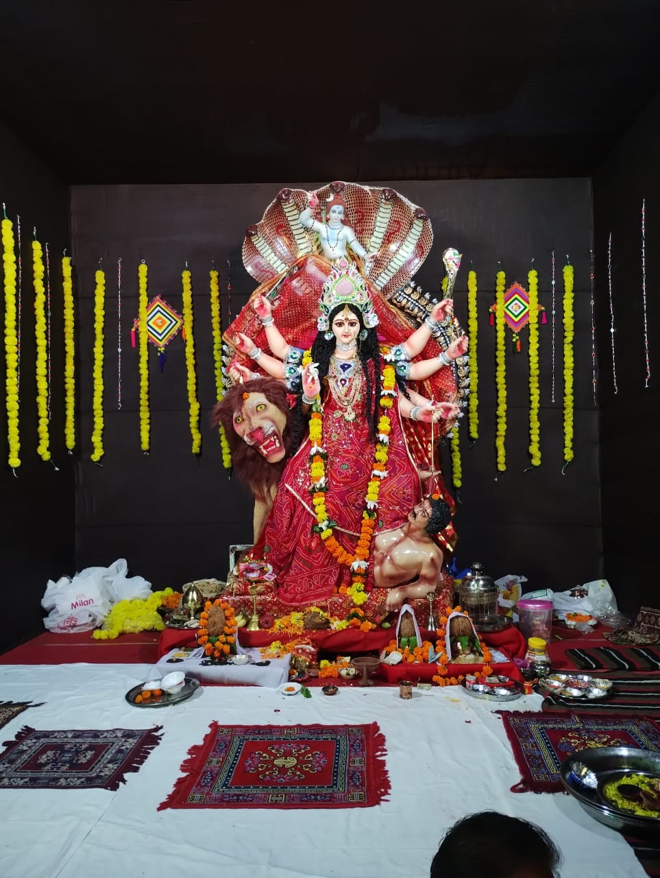 Navratri 2022 Special Bhopal Maa Durga Jhanki Photos; Arera Hills ...