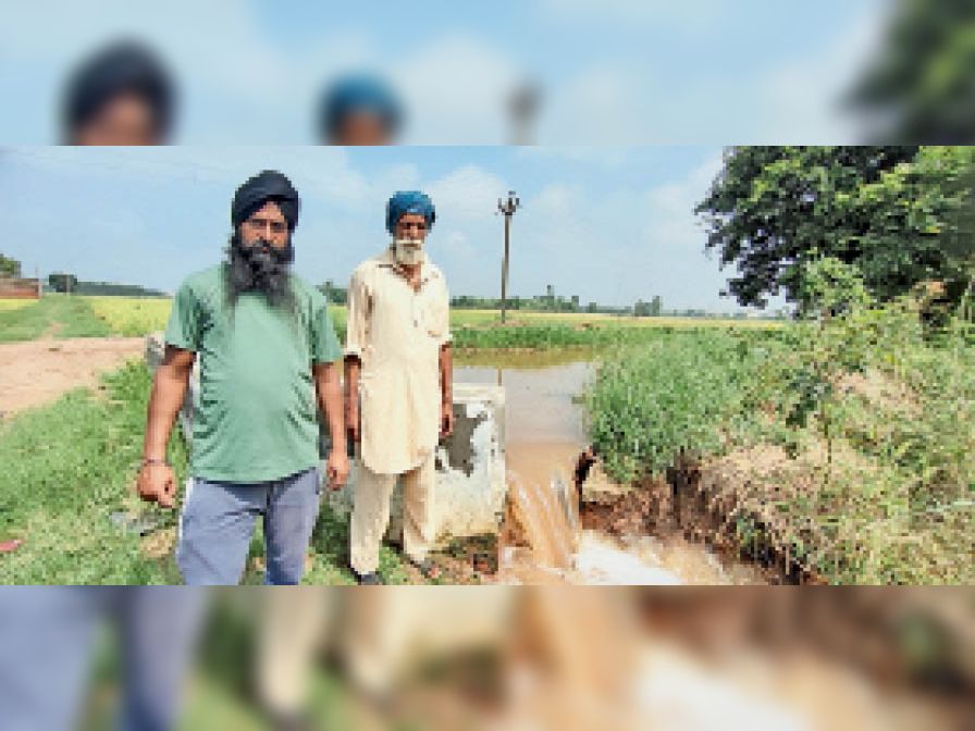 Many farmers lost their crops | पंजोखरा माइनर ने मचाई तबाही: कई किसानों ...