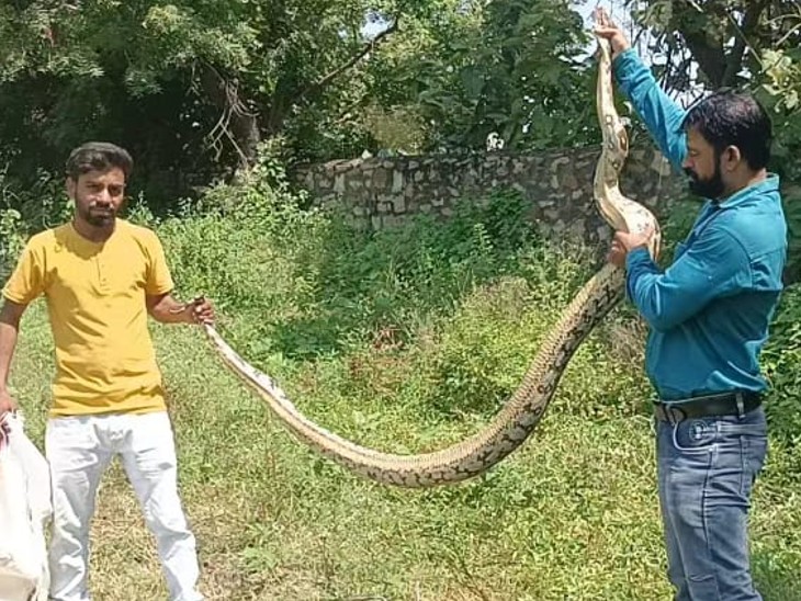 फार्म हाउस में शिकार पर झपट्टा मारा, छुड़ाने पर हमलावर हुआ | Rajasthan ...