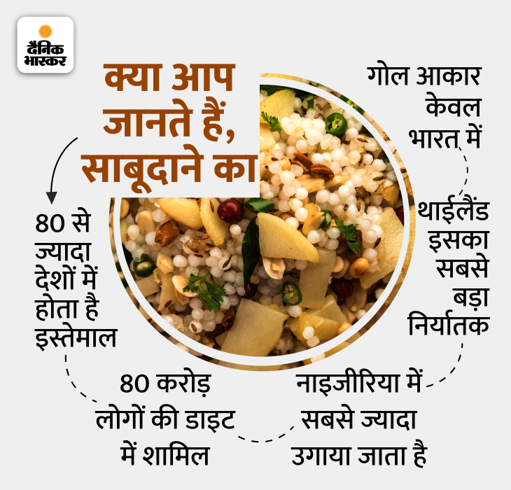 Navratri Vrat Food 2022; Sabudana (Sago) History & Facts | साबूदाने में ...