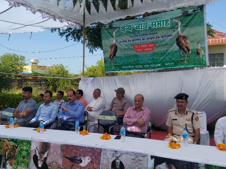Information about wildlife conservation given through puppet-nukkad ...