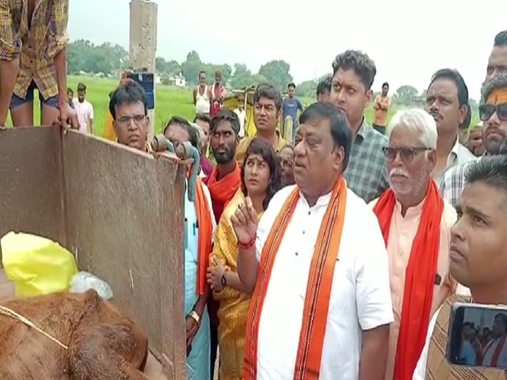 Janjgir News: Leader of Opposition inspected Gauthan.. Skeletons of ...
