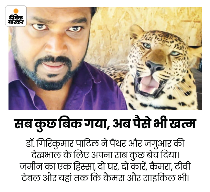 Ukraine Indian Doctor Appeal; Narendra Modi & Cheetahs in Kuno National ...