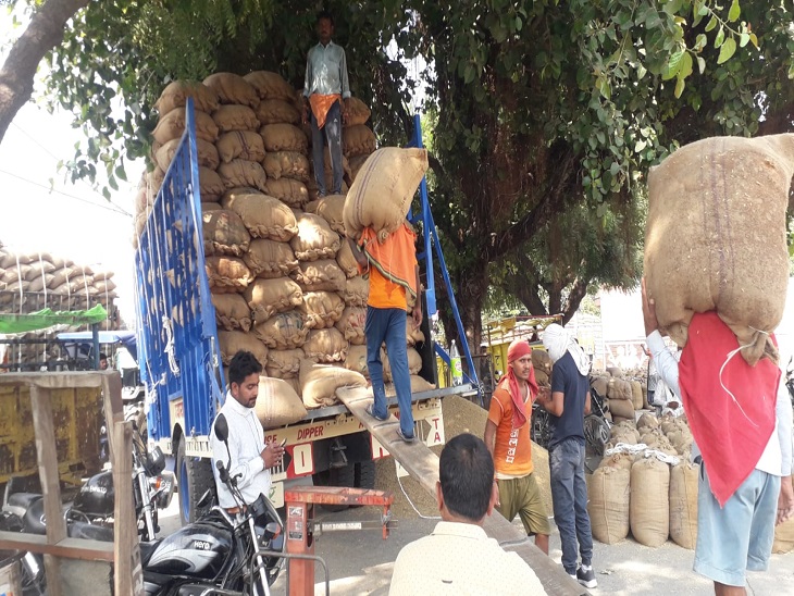 Karnal News, Paddy loading on tractor-trolleys in the name of Deputy ...