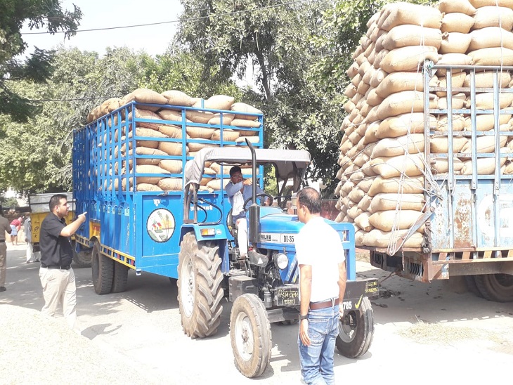 Karnal News, Paddy loading on tractor-trolleys in the name of Deputy ...
