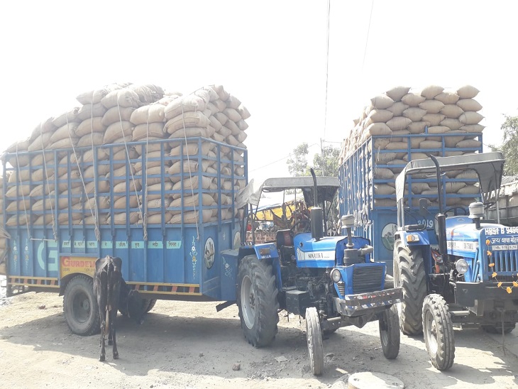 Karnal News, Paddy loading on tractor-trolleys in the name of Deputy ...