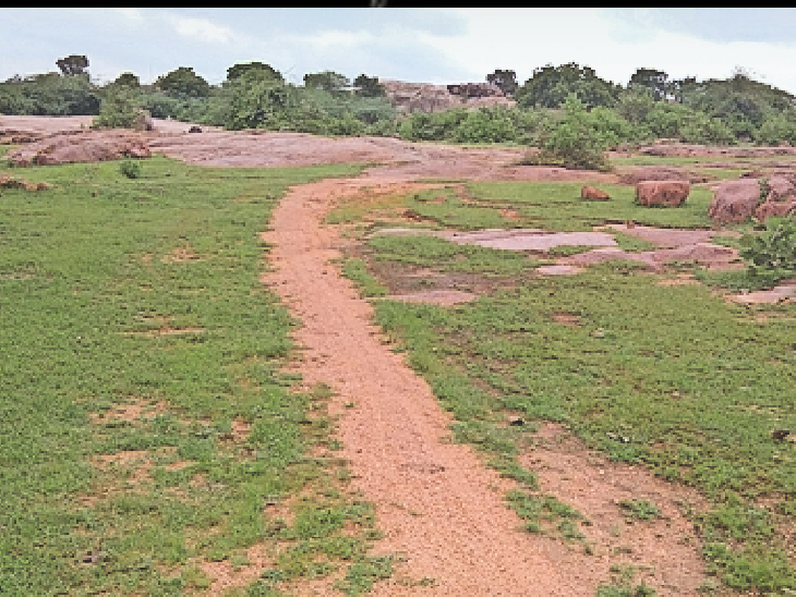 The way to the Gujra inscription will be easy by putting a stone ...
