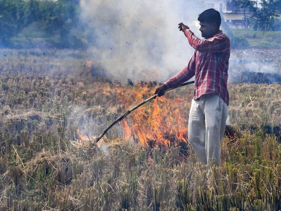 The evil practice of burning crop residues has not stopped, stubble is ...