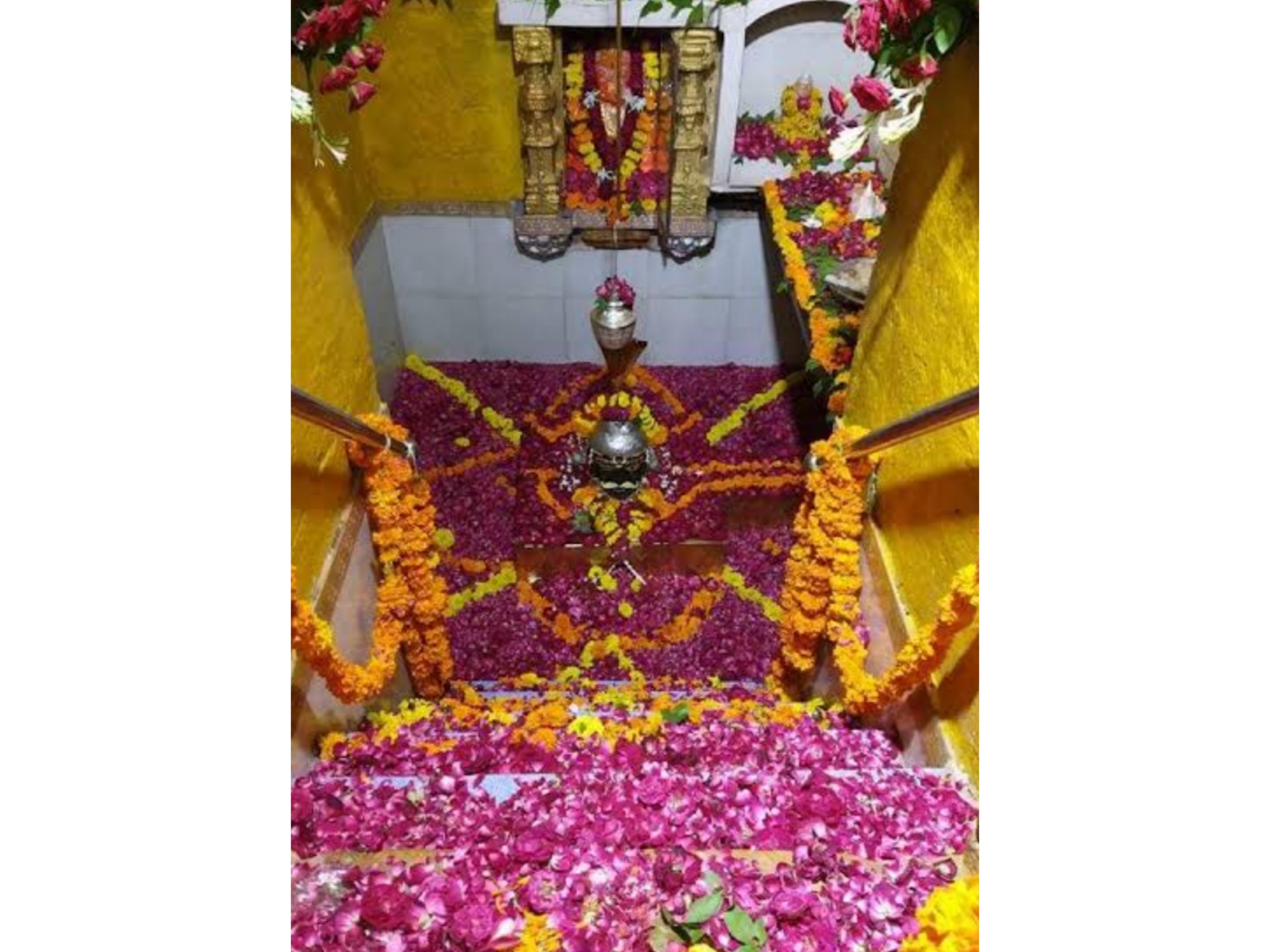 There will be live broadcast in Manawar's Banknath temple, many ...