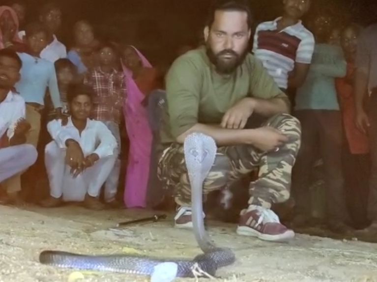 Two snakes entered the house of two farmers, the snake friend did the ...