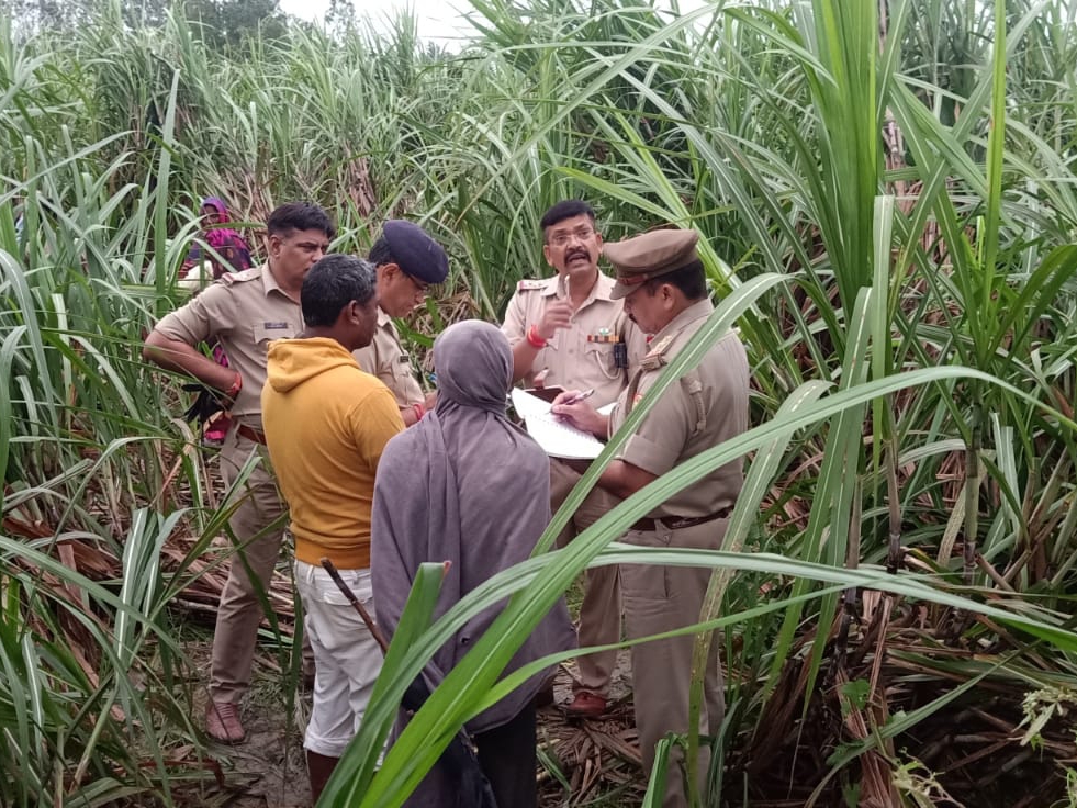 Woman's body found in sugarcane field in Amroha The animal had gone out ...