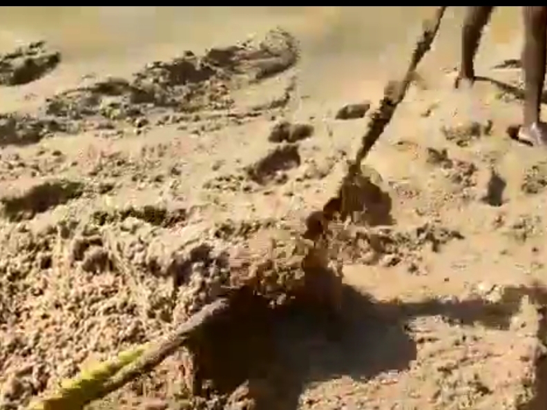 Allegations of illegal sand mining near Pench National Park in Seoni ...