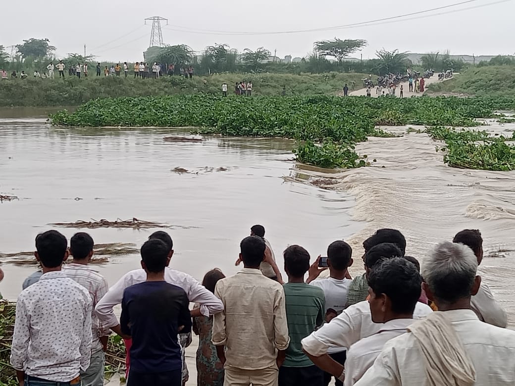 Hundreds of bighas of crop wasted; Farmer said - Government should ...